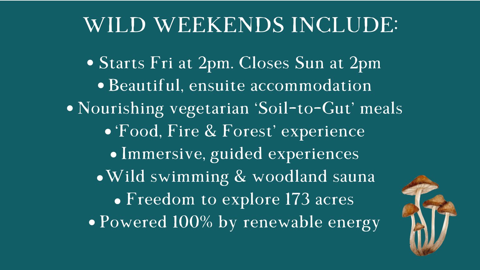 Wild Weekend - 42 Acres
